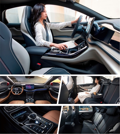 BYD Qin Plus Honor 600km Flagship All Versions