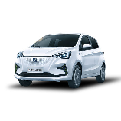 Quality Automobile EV & Mini EV Cars factory from China
