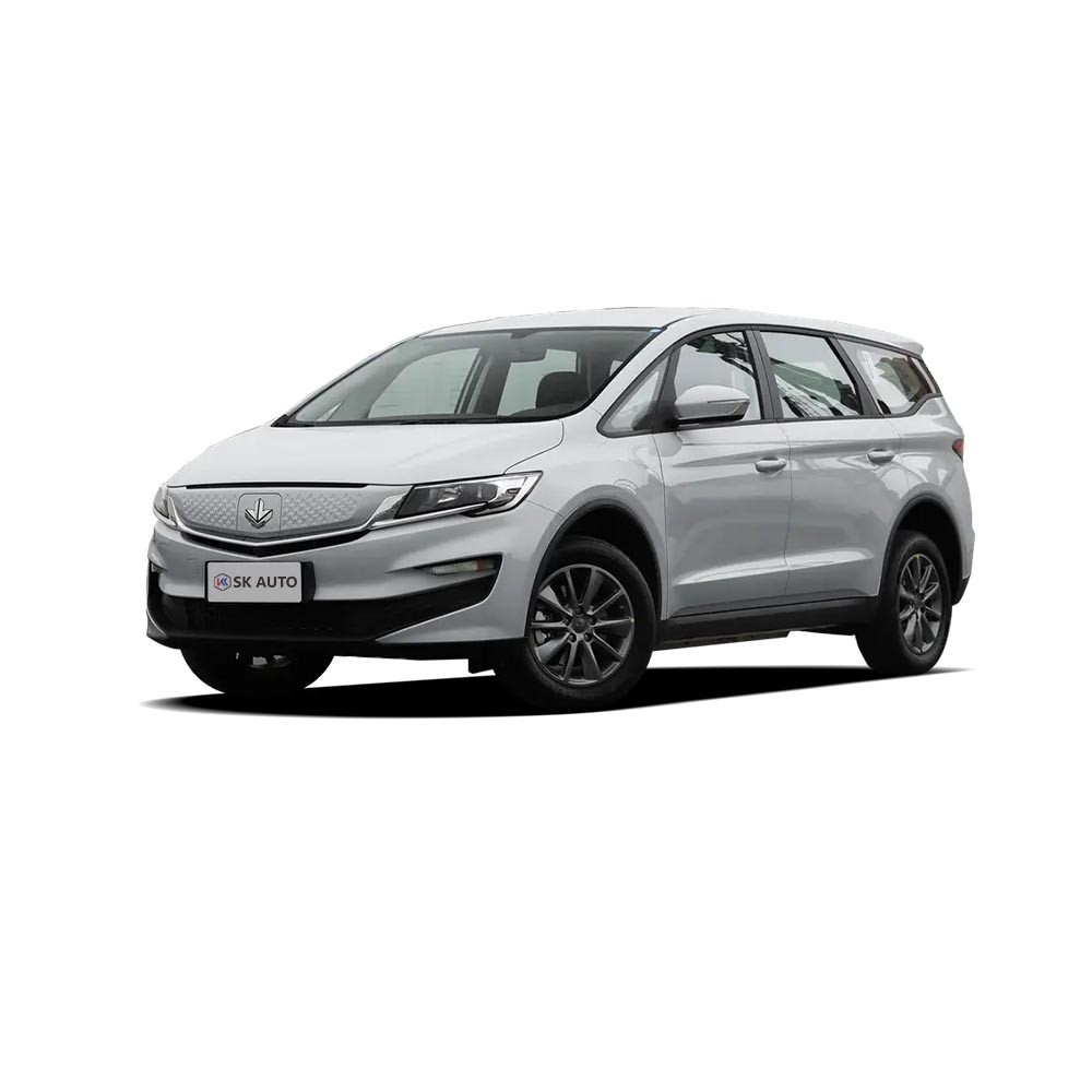 Lifan Maple Leaf 80V Automobile EV Five Door Six Seat Mpv Electric Car Business Reception