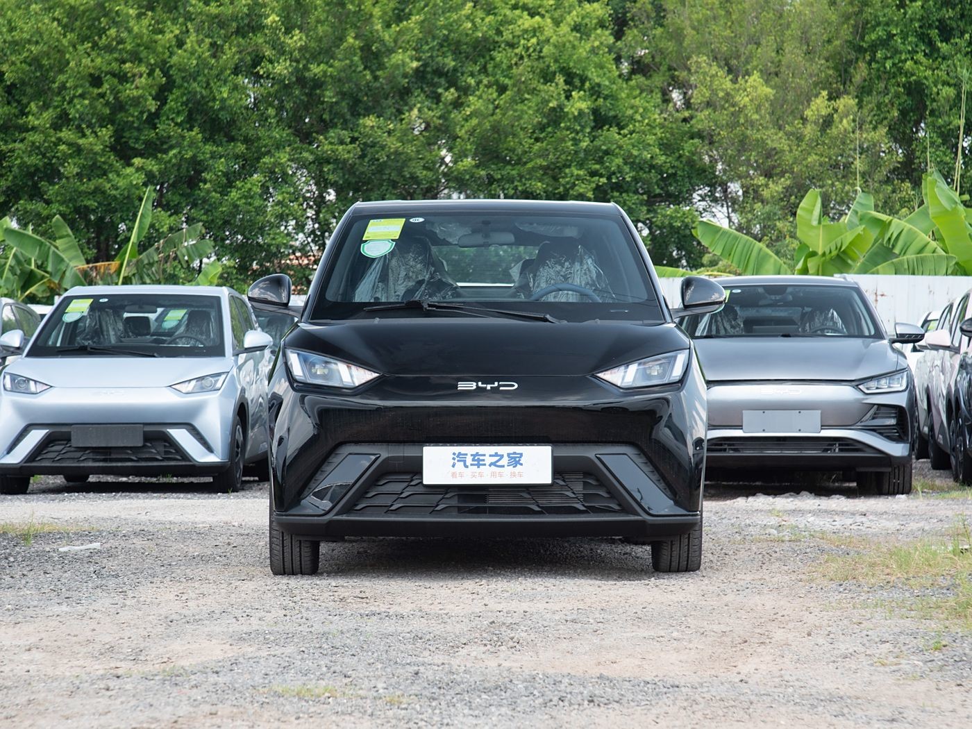 BYD New Model Seagull Electric Mini EV Cars Fast Charging 2025 Small ...